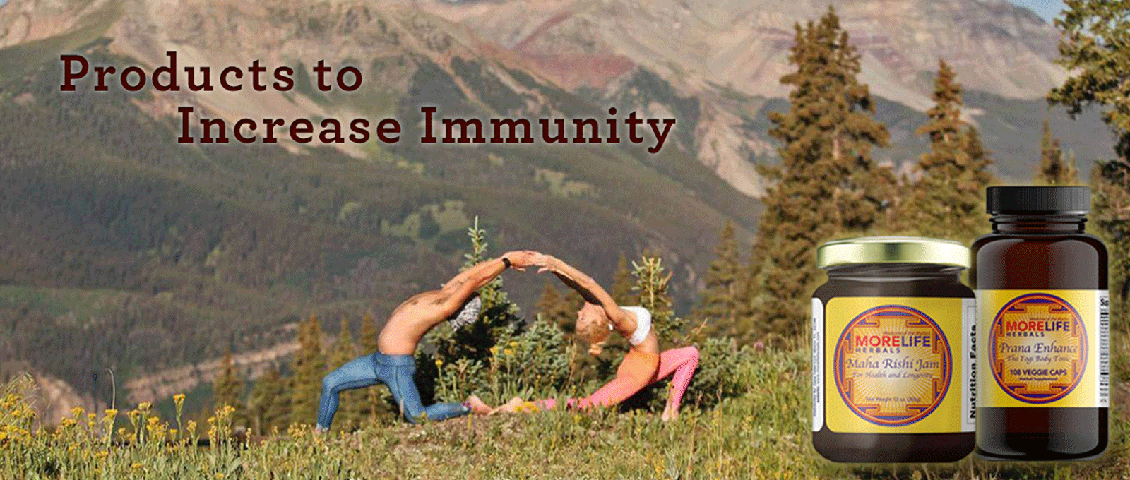 MoreLife Market – Live an Evolutionary Life with More Life products