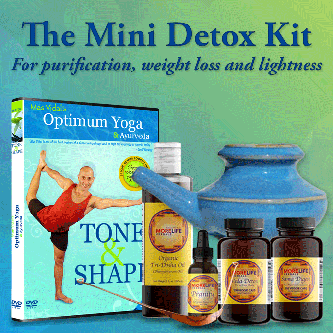 Mini Detox Kit - MoreLife Market - Premium Ayurvedic Products